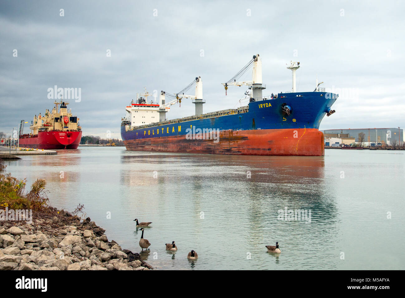 The Polsteam Iryda and Federal Bering bulk carriers pass as they ...