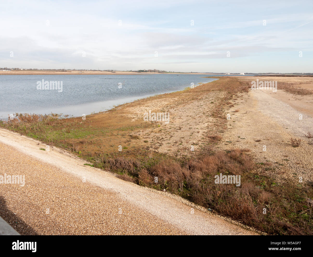 sandy beach texture dunes coast nature reserve plain background shingle ...