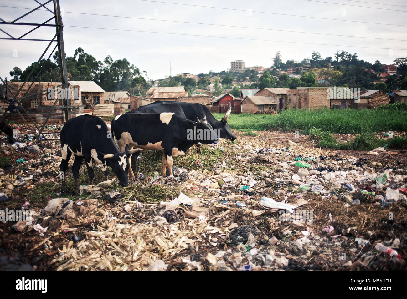 Kampala slums hi-res stock photography and images - Alamy