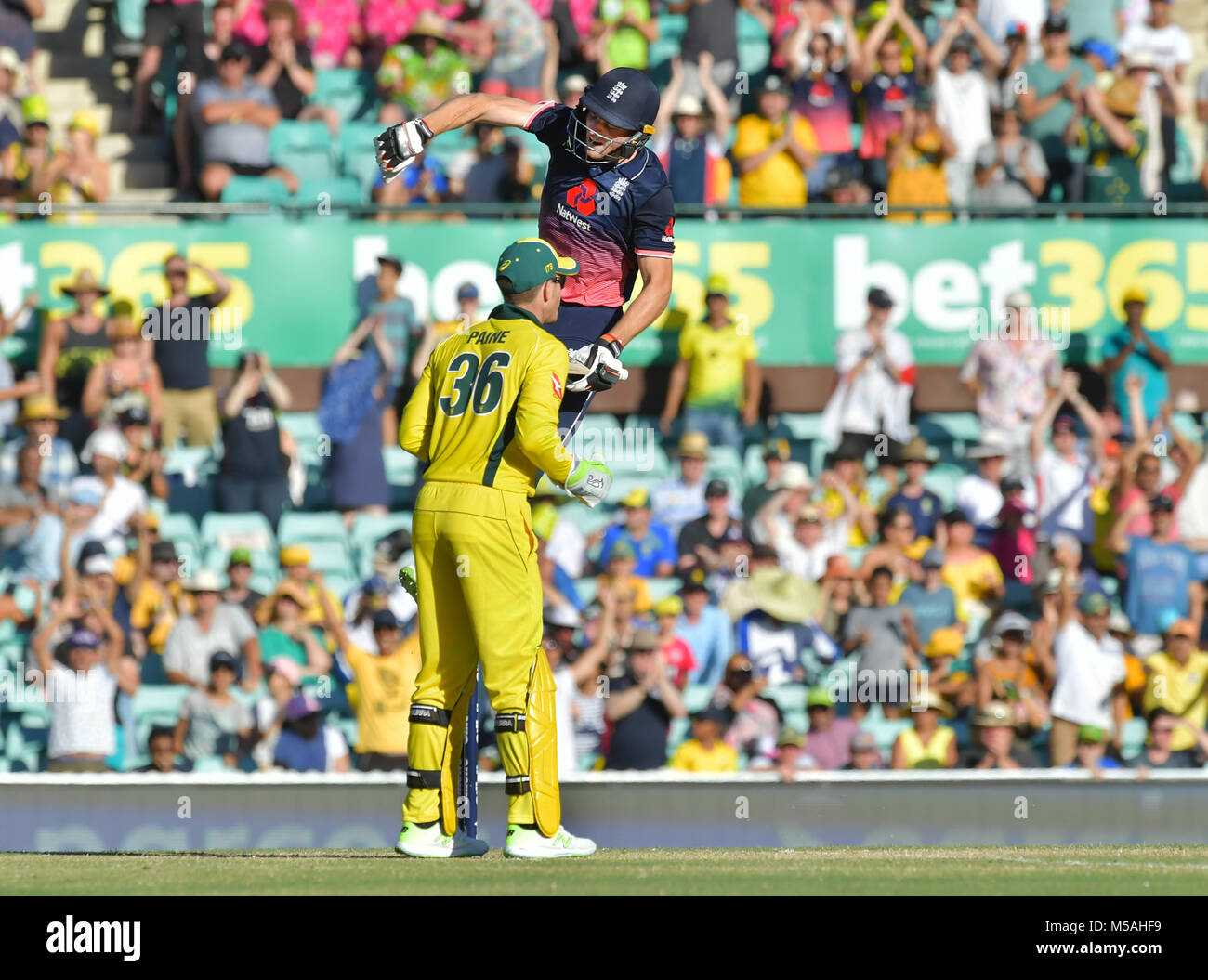 Jos butler cricket hi-res stock photography and images - Alamy