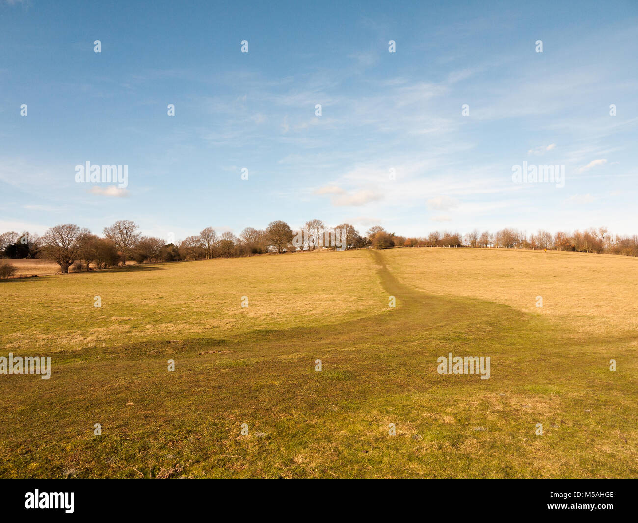 massive open plain farm field grass agriculture england blue sky ahead ...