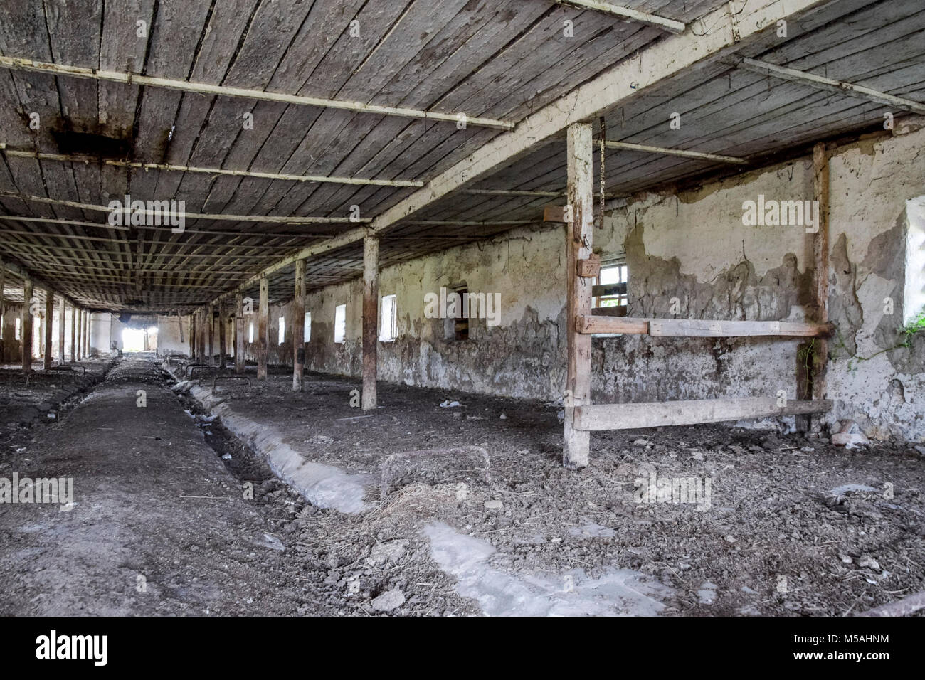 An old abandoned farm for cows. Style Abandoned Stock Photo - Alamy