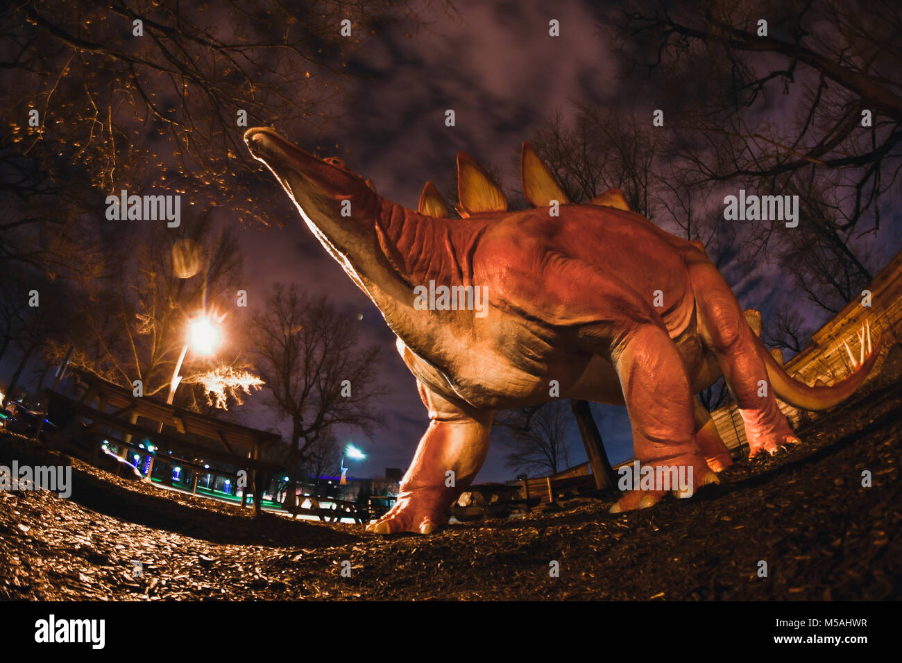 Steggy the Stegosaurus Stock Photo - Alamy