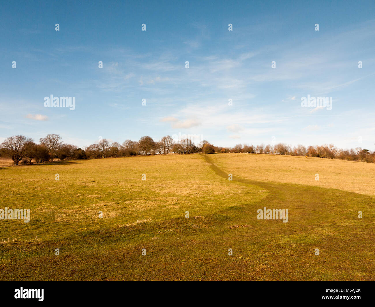 massive open plain farm field grass agriculture england blue sky ahead ...