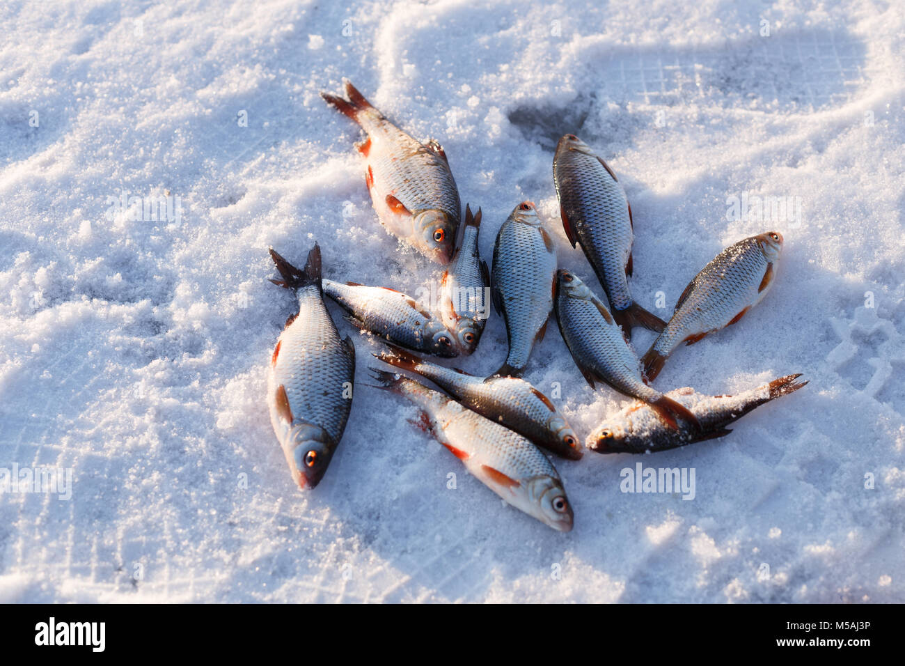 Winter coveralls hi-res stock photography and images - Alamy