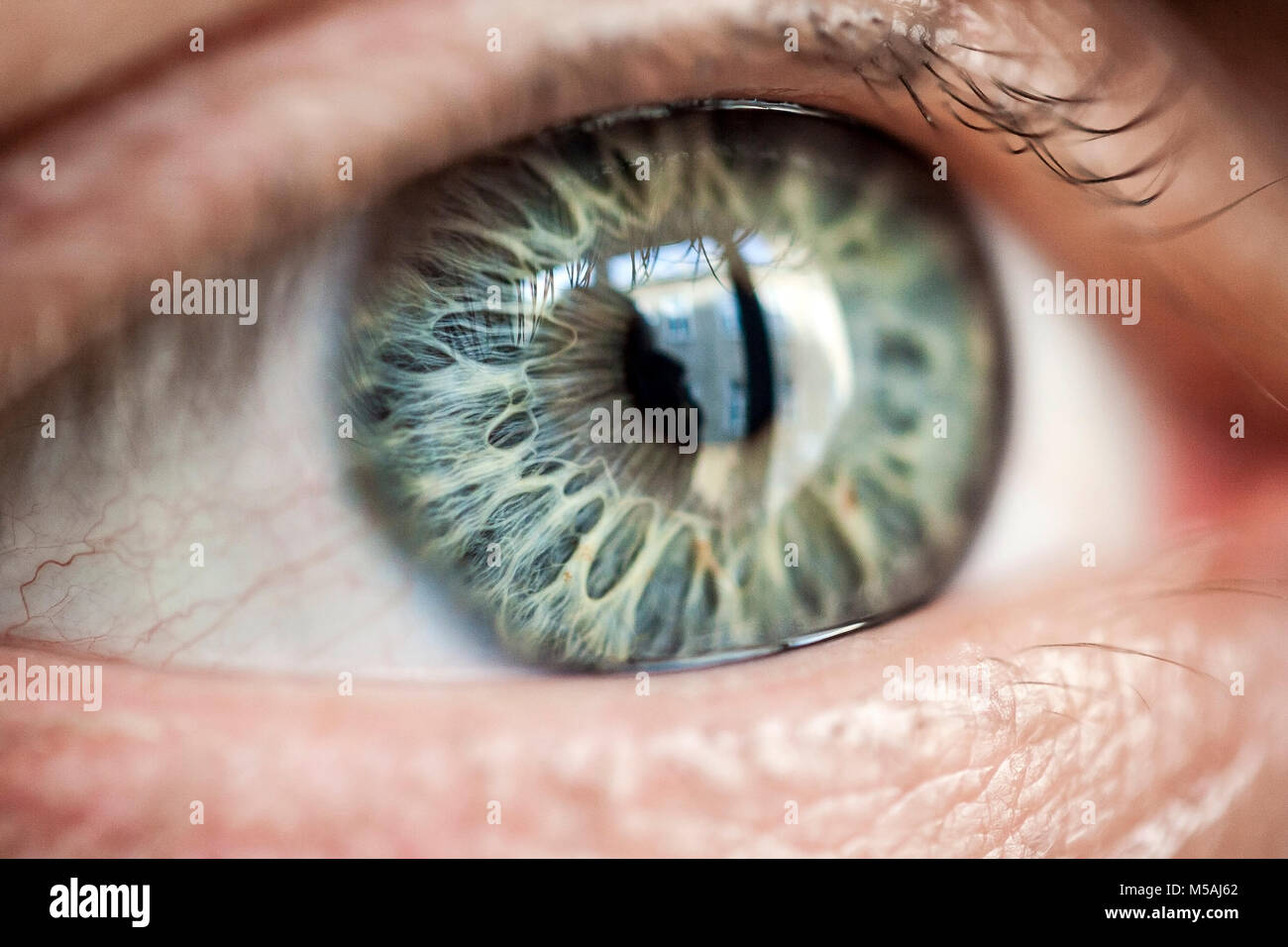 Very close macro photograph of a human eye with very special patterned ...
