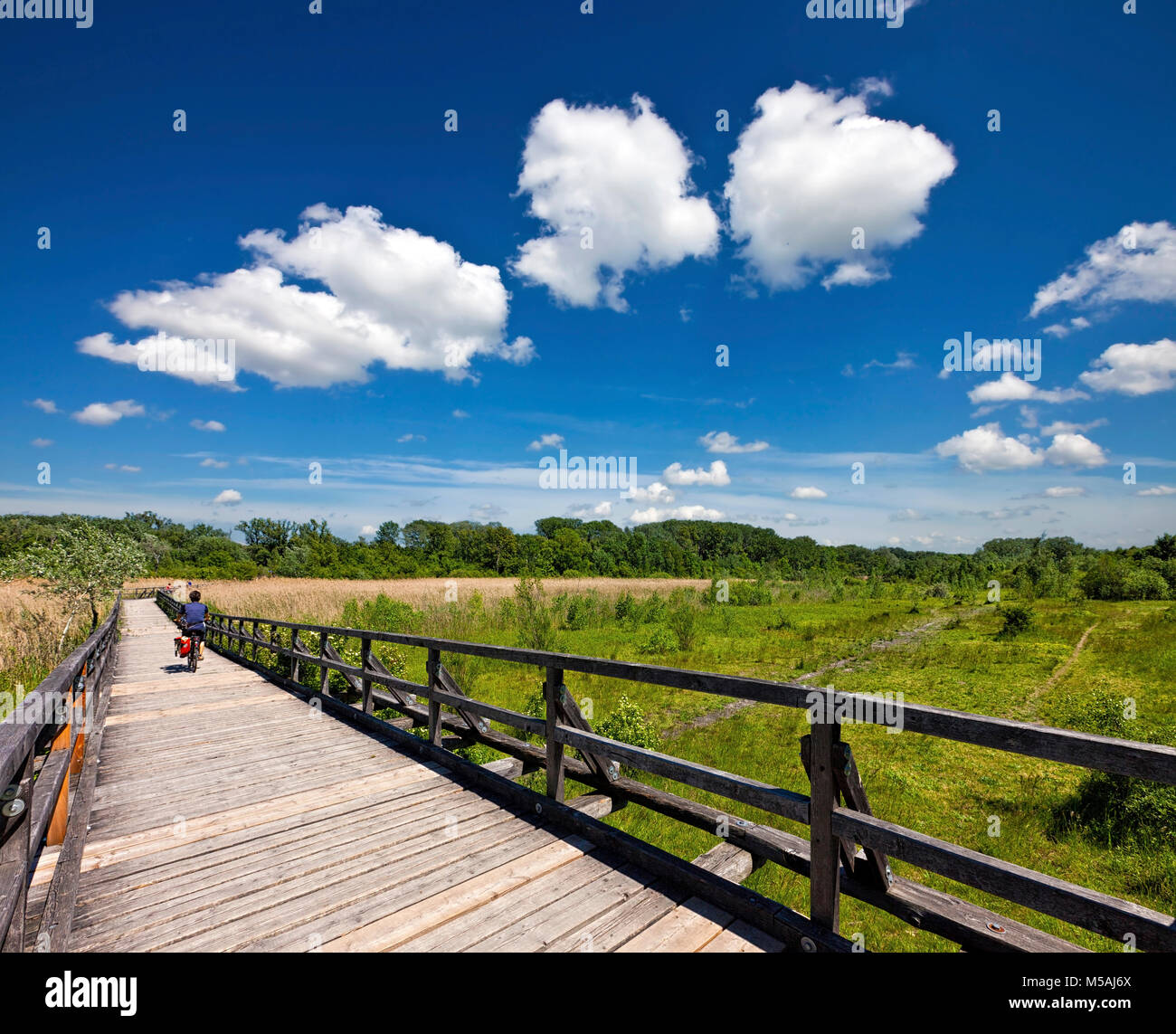 Nationalpark donau auen hi-res stock photography and images - Alamy