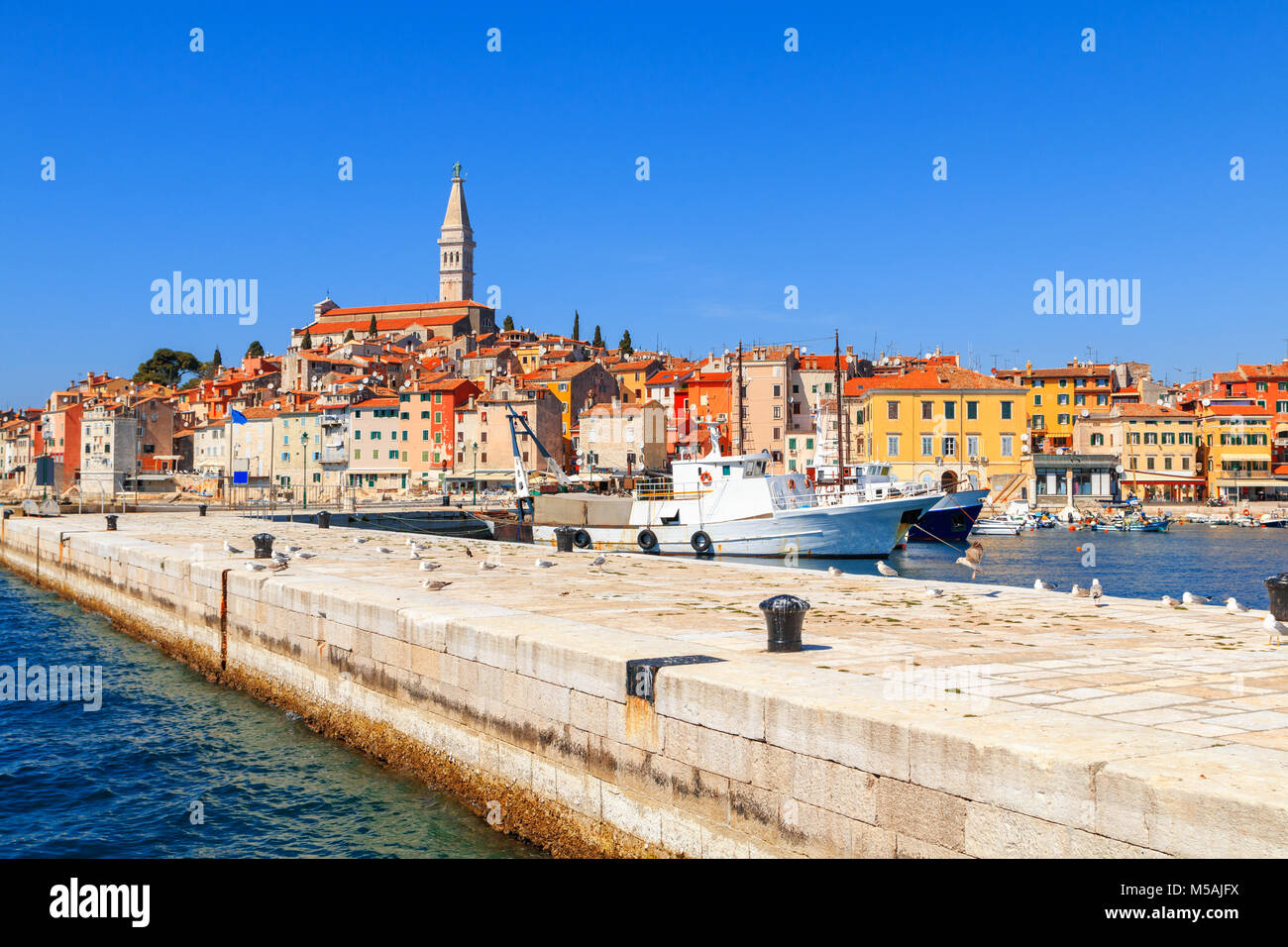 Beautiful and cozy medieval town of Rovinj, colorful with houses and ...