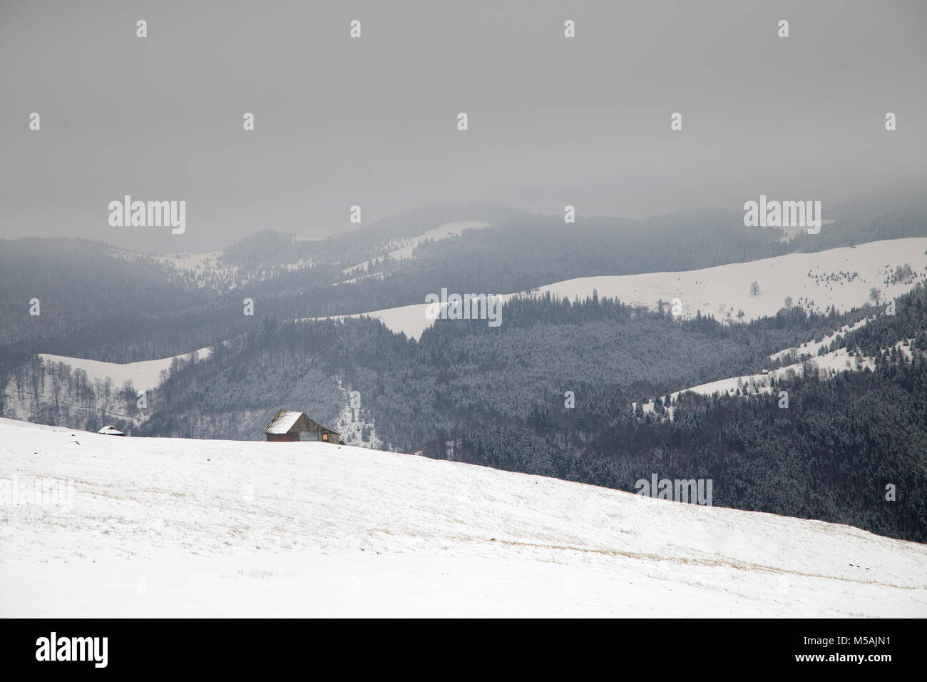 Winter landscape of the Transylvanian forest Stock Photo - Alamy
