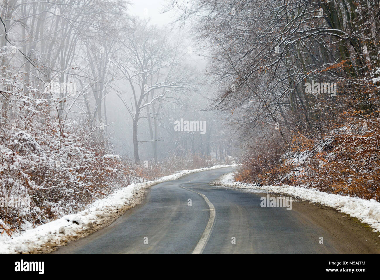 Winter landscape of the Transylvanian forest Stock Photo - Alamy