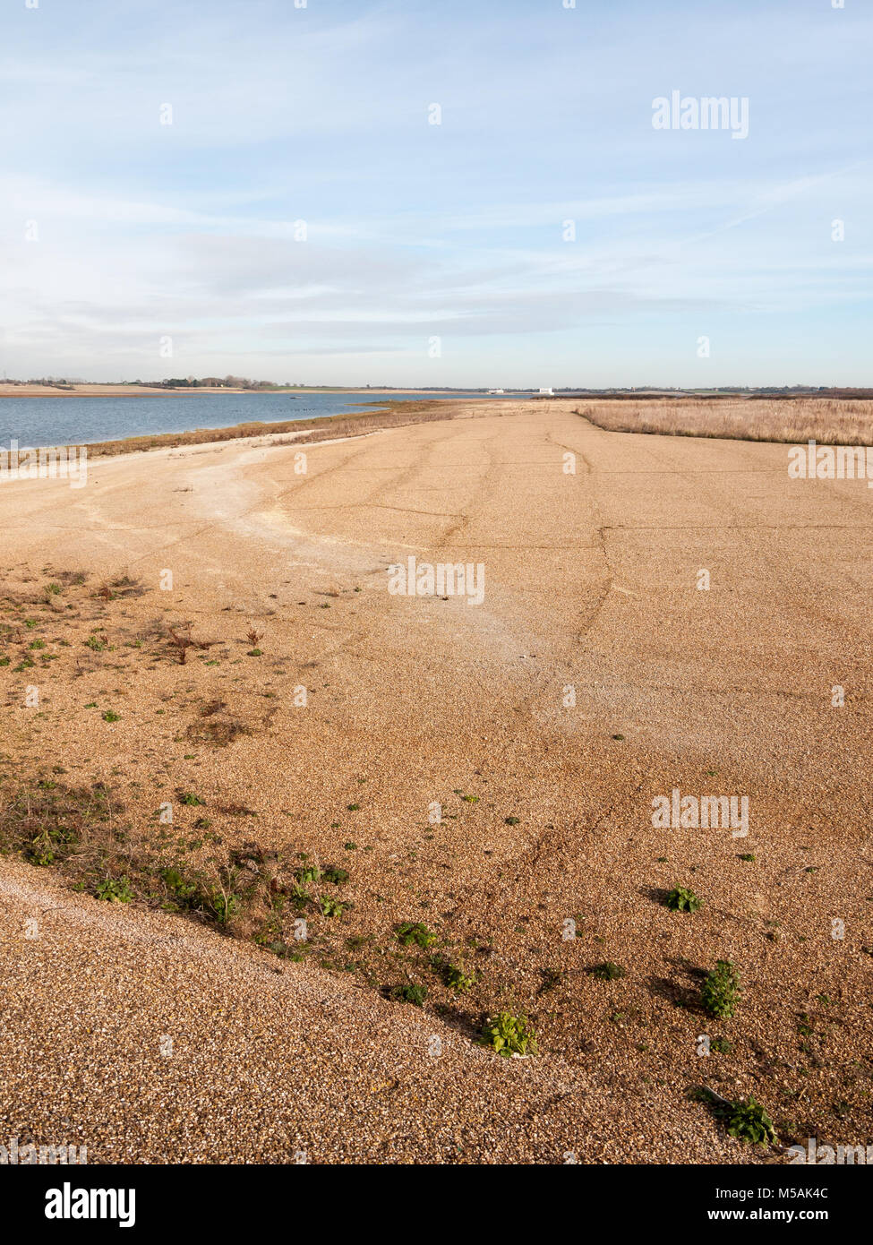 sandy beach texture dunes coast nature reserve plain background; essex ...
