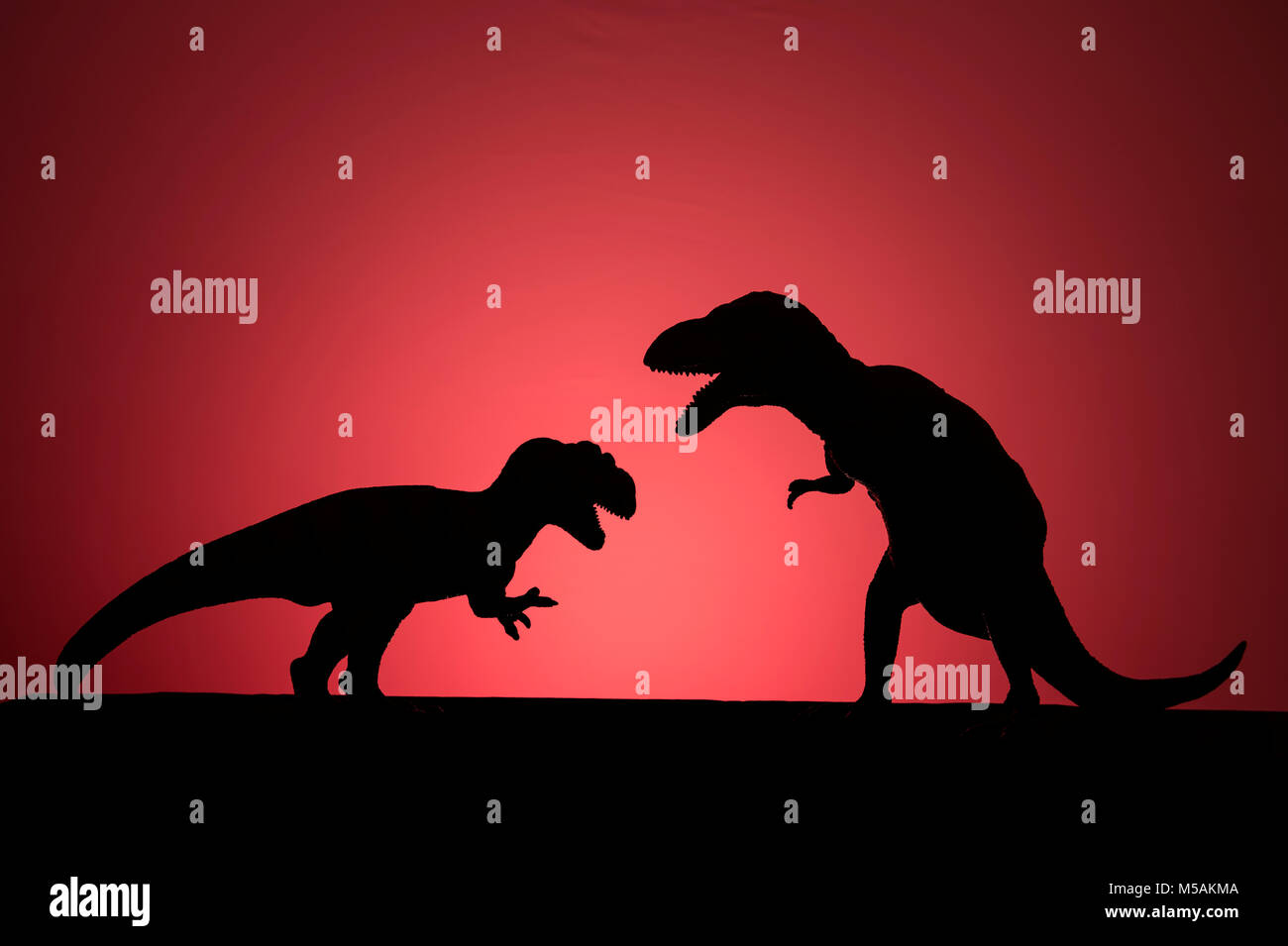 Fighting dinosaurs hi-res stock photography and images - Alamy