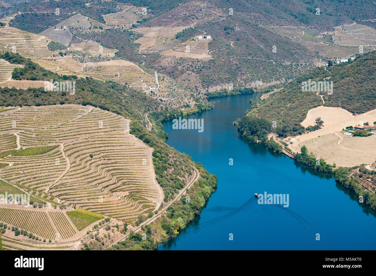 vineyards in the Douro River, Alto Douro Wine Valley Stock Photo - Alamy