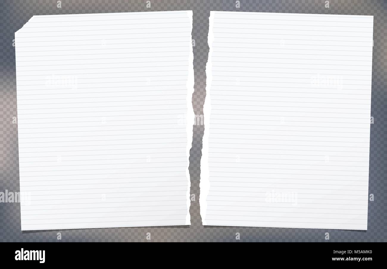 Torn white lined note, notebook paper sheets for text stuck on gray ...
