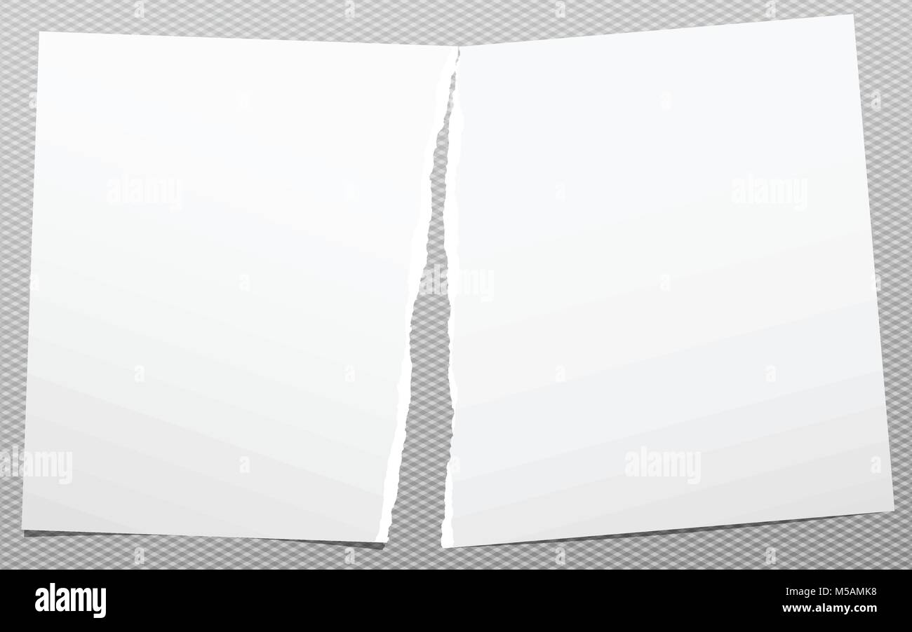 Torn white empty note, notebook paper sheets for text stuck on gray ...