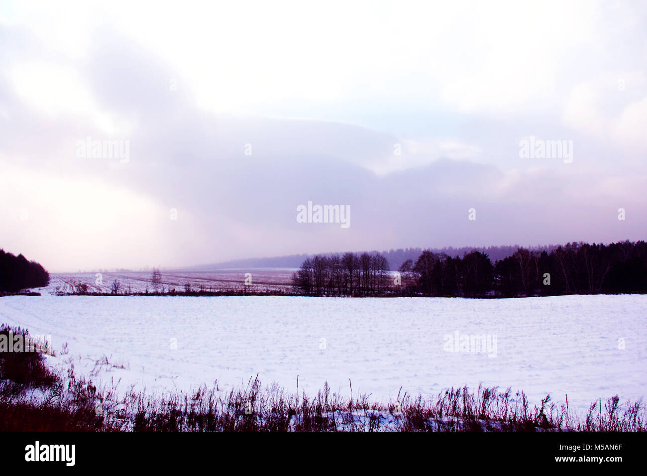 Image of snow winter and cloudy sky Stock Photo - Alamy