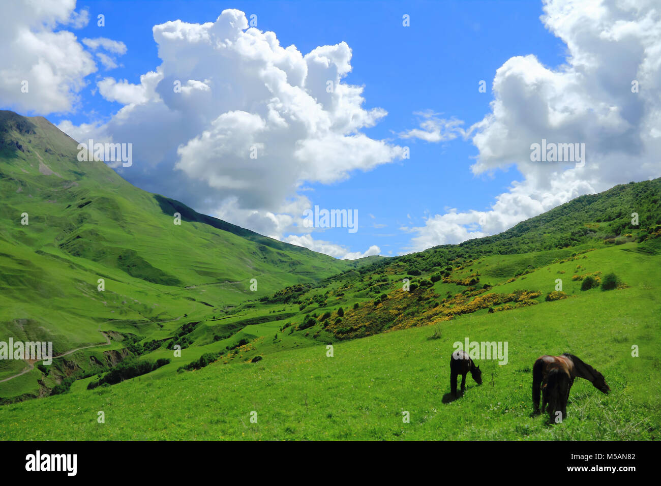 Summer scenery of Caucasus green mountains Stock Photo - Alamy