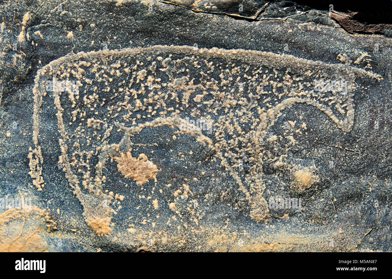 Prehistoric rock carving morocco hi-res stock photography and images ...