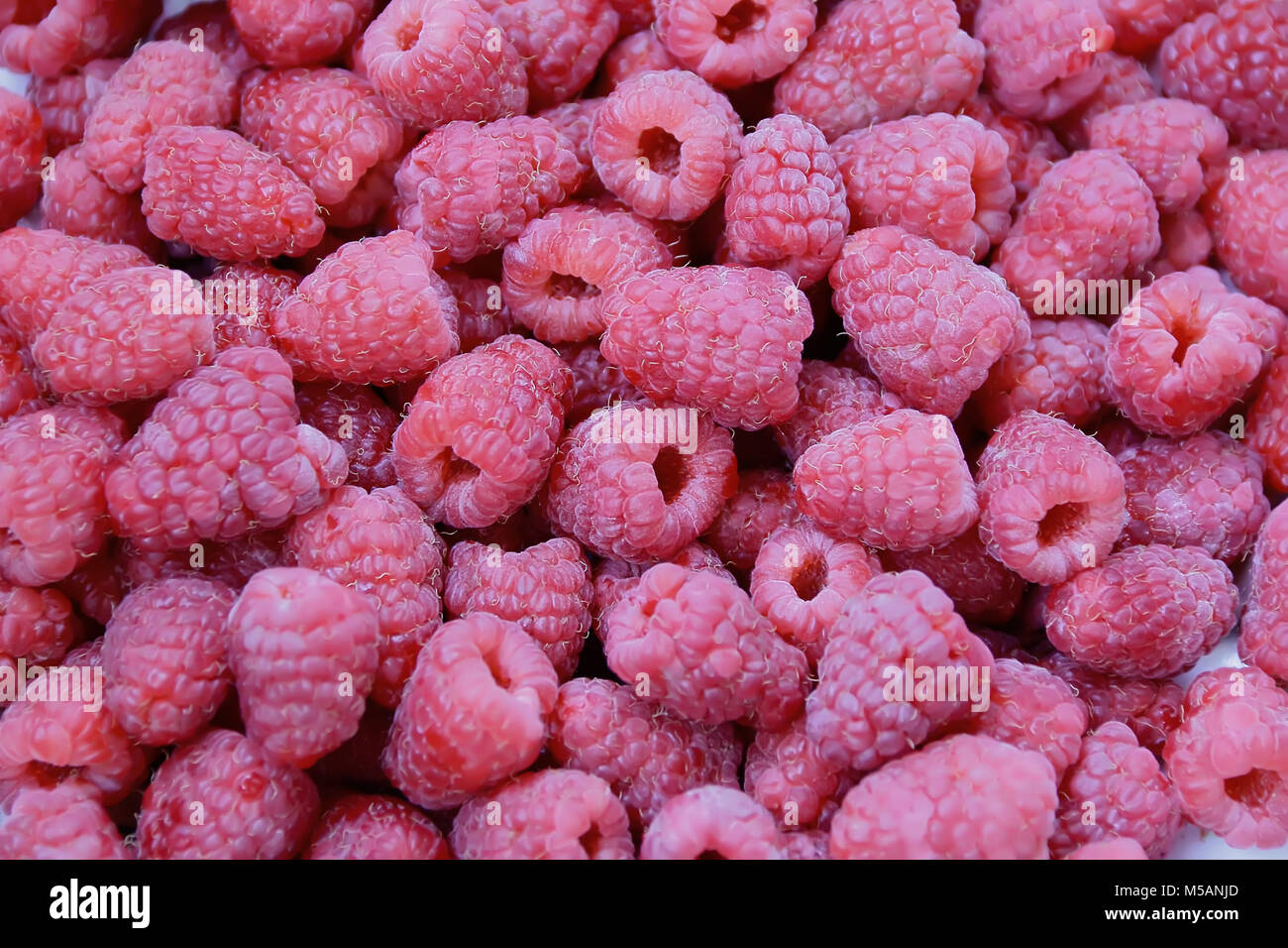 Image of the background fresh red raspberry Stock Photo - Alamy