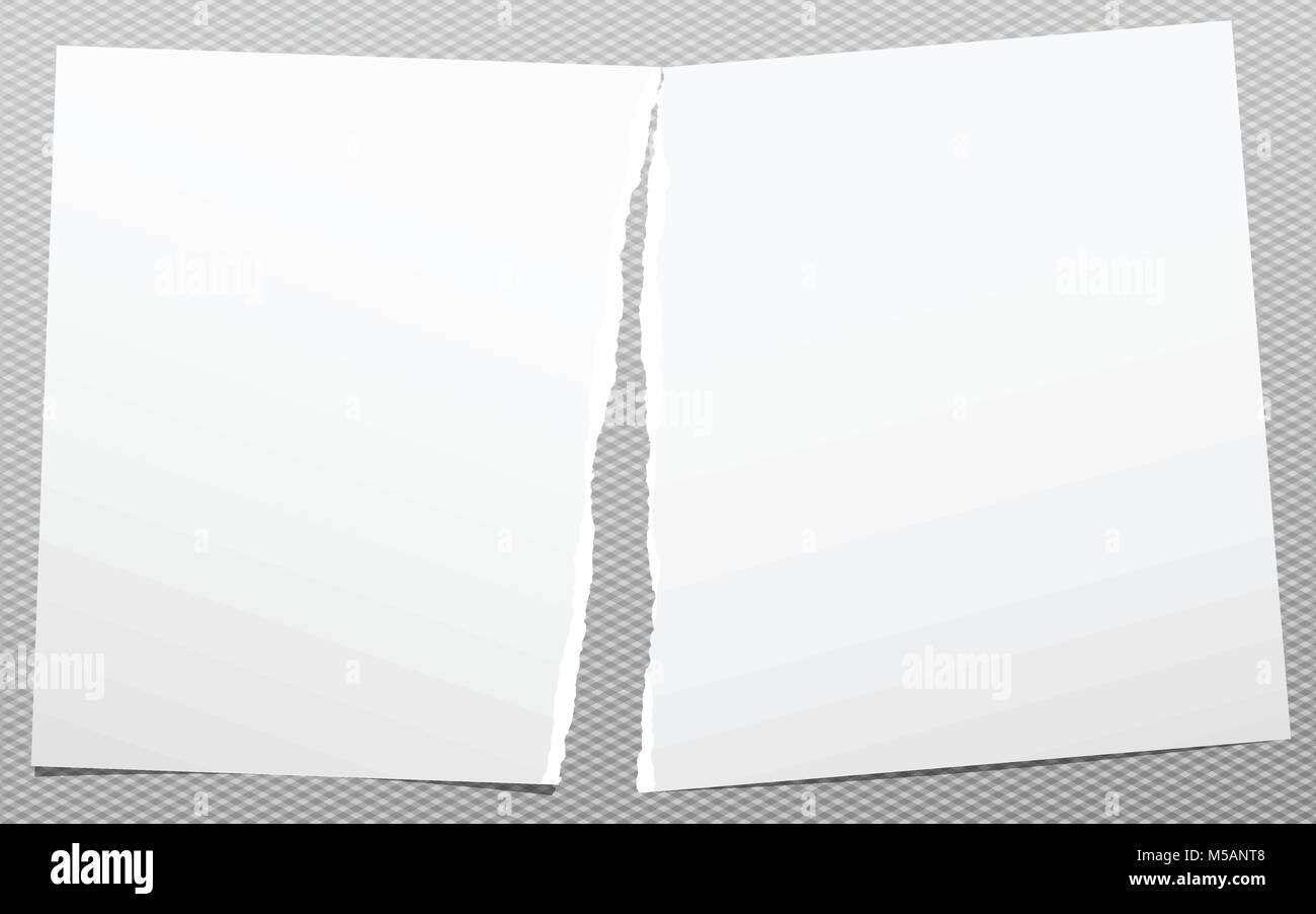 Torn white empty note, notebook paper sheets for text stuck on gray ...