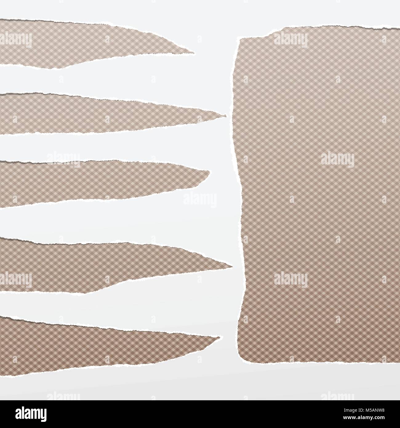 Torn white empty paper for text stuck on brown squared background ...