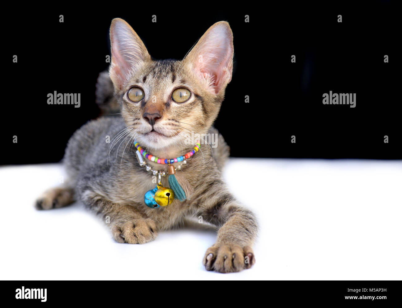 Lovely lighting hi-res stock photography and images - Alamy