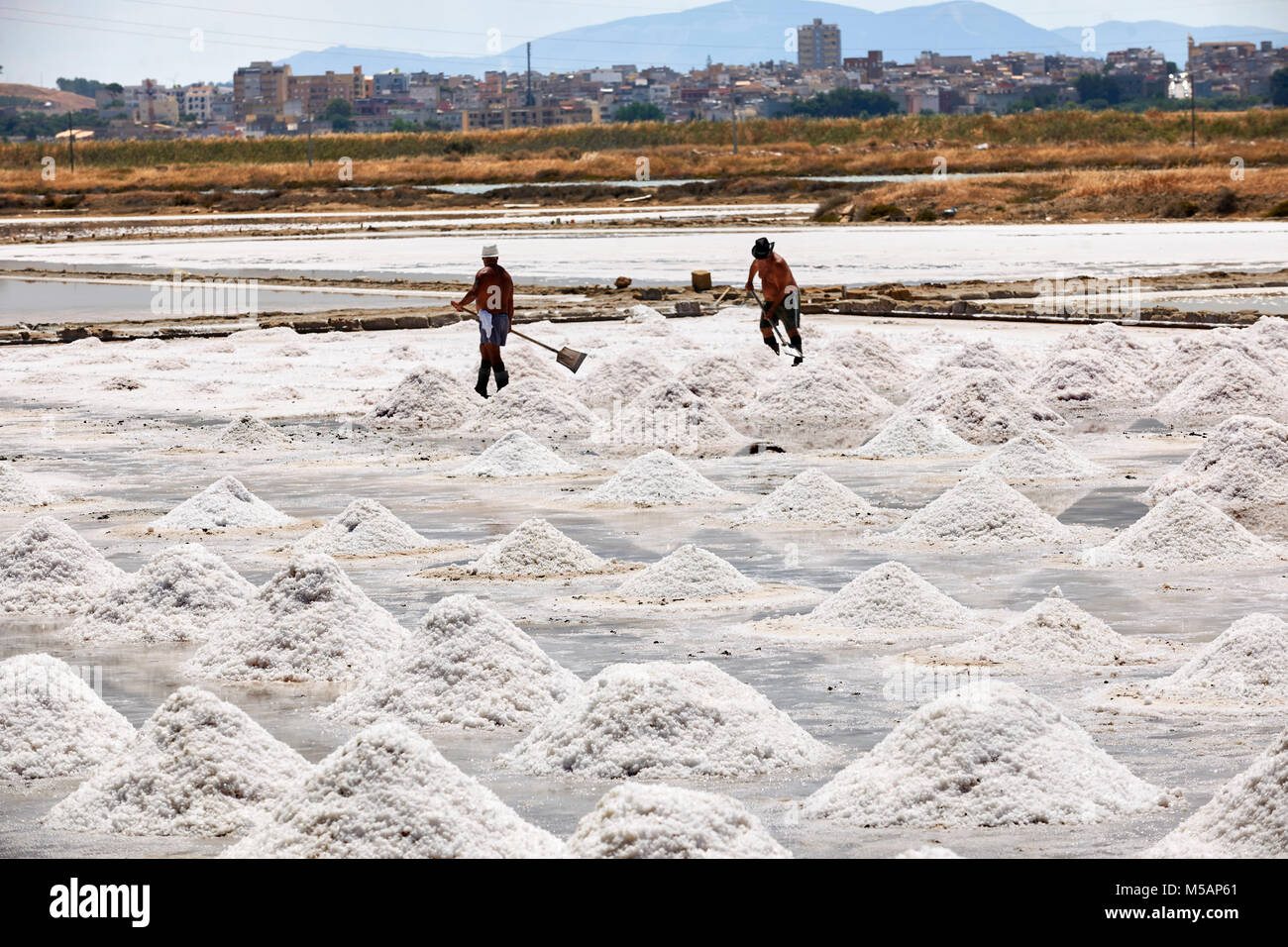 Pictures & images of Men collecting and digging salt in a salt pan on ...