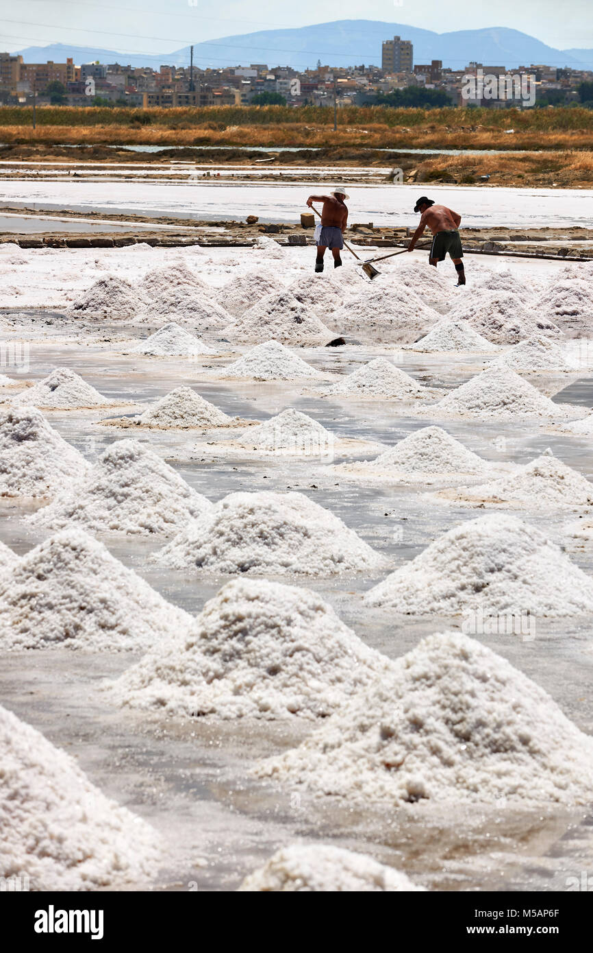 Pictures & images of Men collecting and digging salt in a salt pan on ...