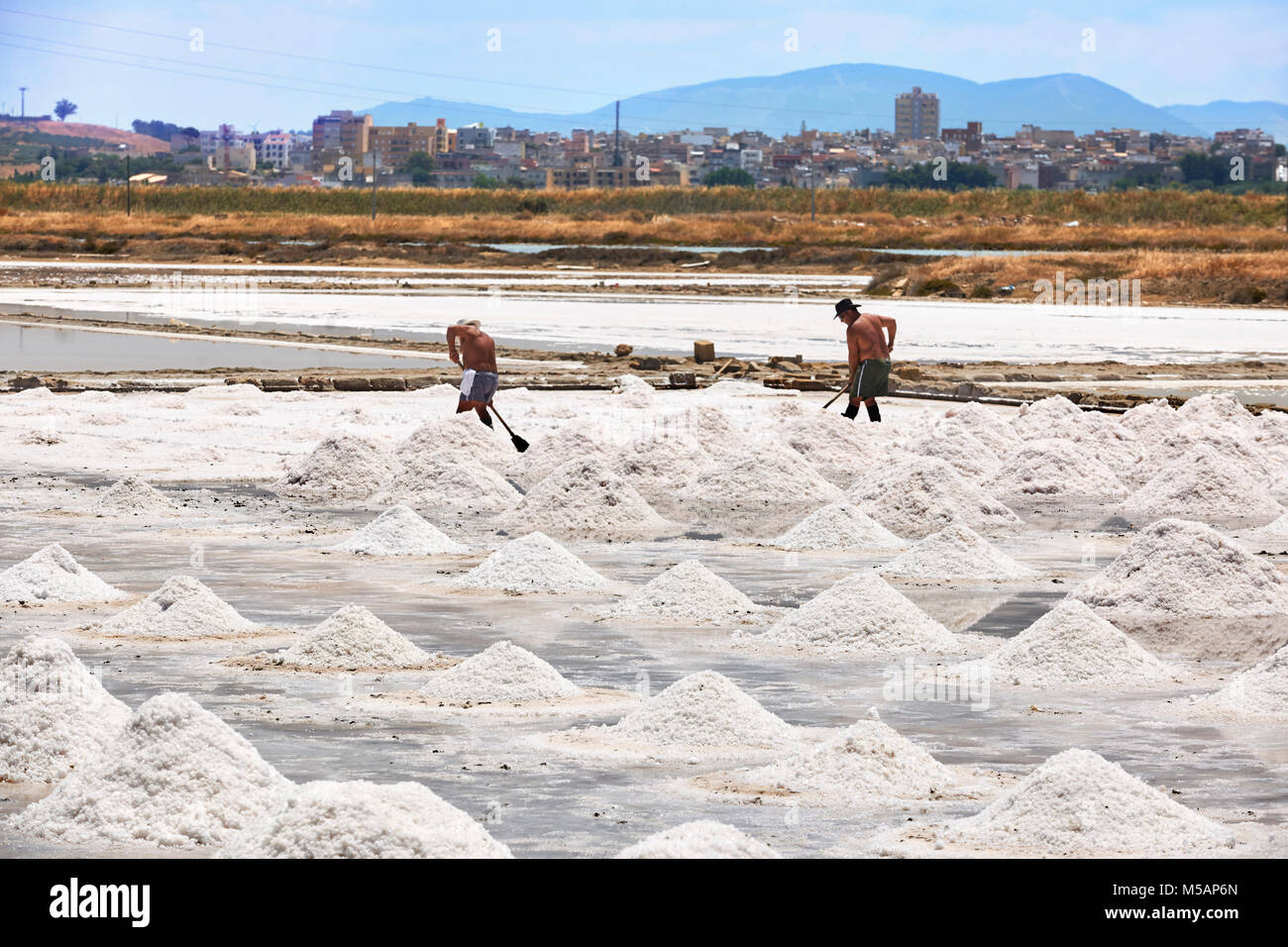 Pictures & images of Men collecting and digging salt in a salt pan on ...