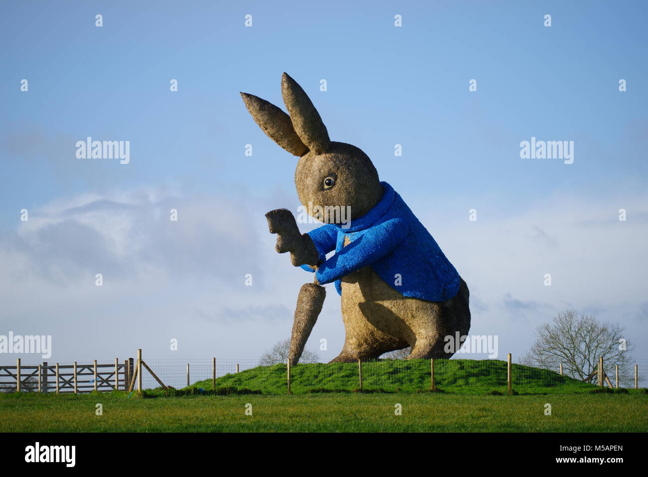 Peter rabbit hi-res stock photography and images - Alamy