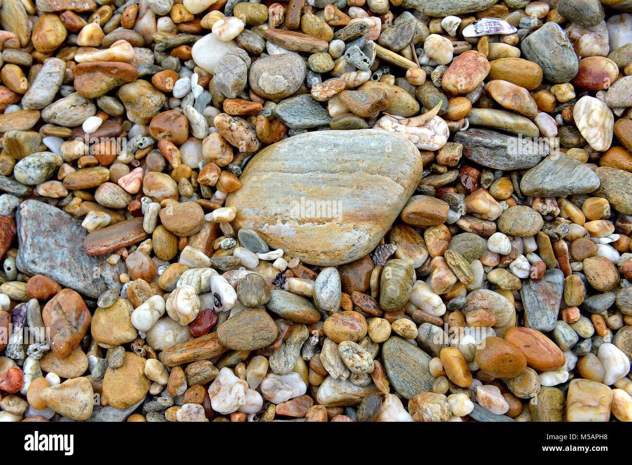 Mixed shape and colorful tropical beach natural ocean gravel and sand ...