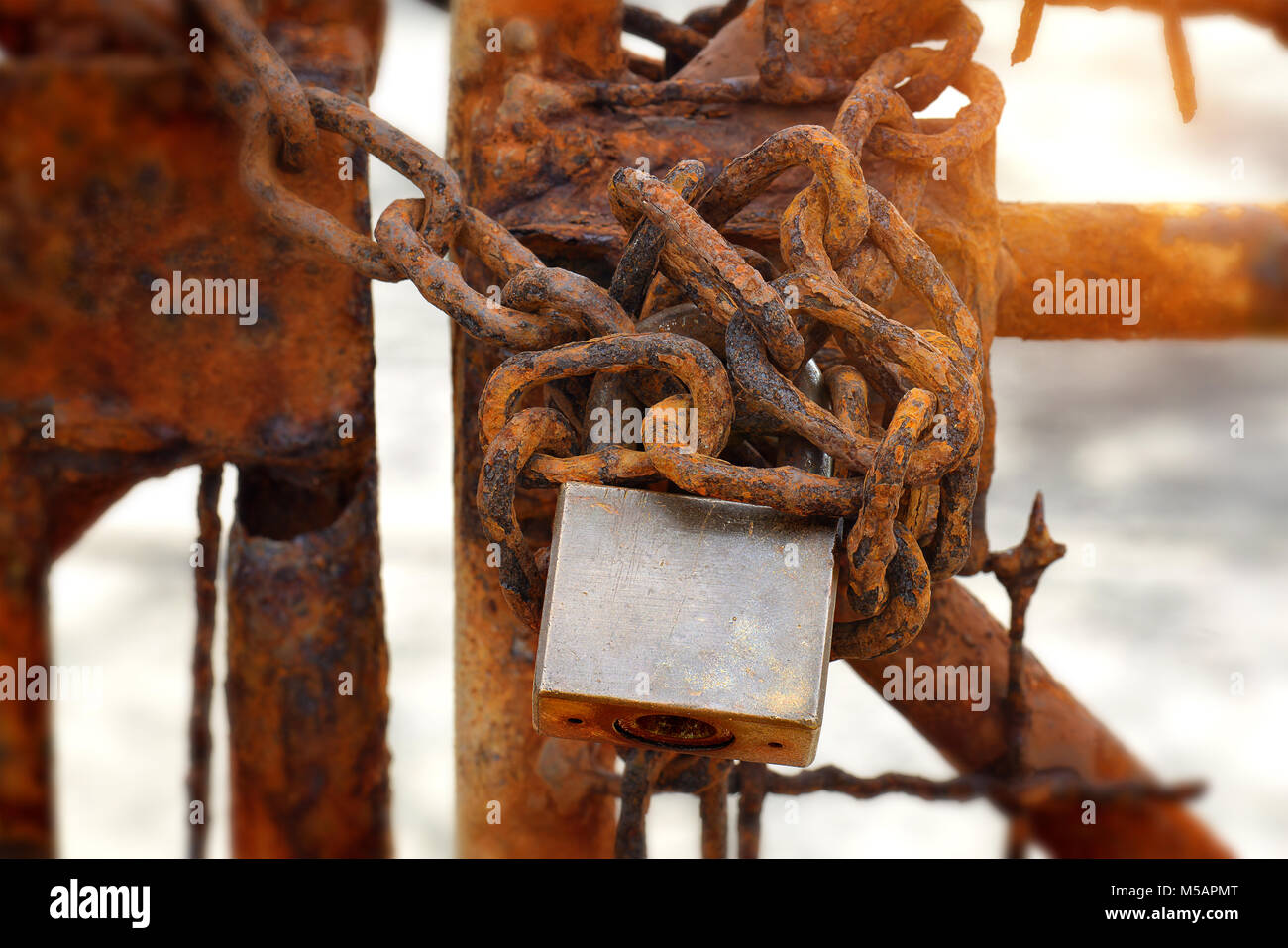 The rusty chains and old lock door in the block zone photo in sunset ...