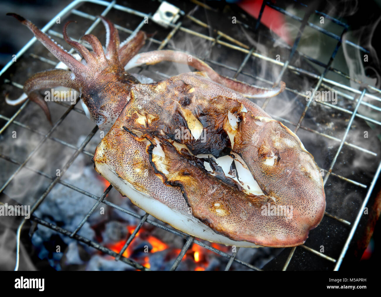 Yellow cuttlefish hi-res stock photography and images - Alamy