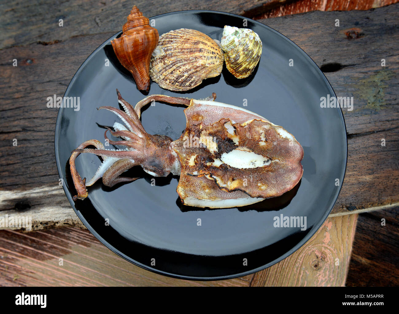 Fire cuttlefish hi-res stock photography and images - Alamy