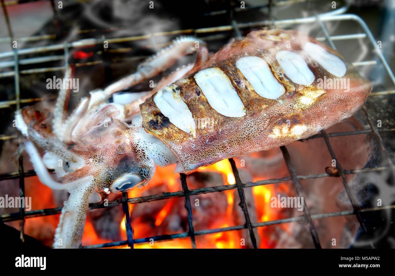 Fresh soft cuttle fish from fishery market in Thailand grill on the ...