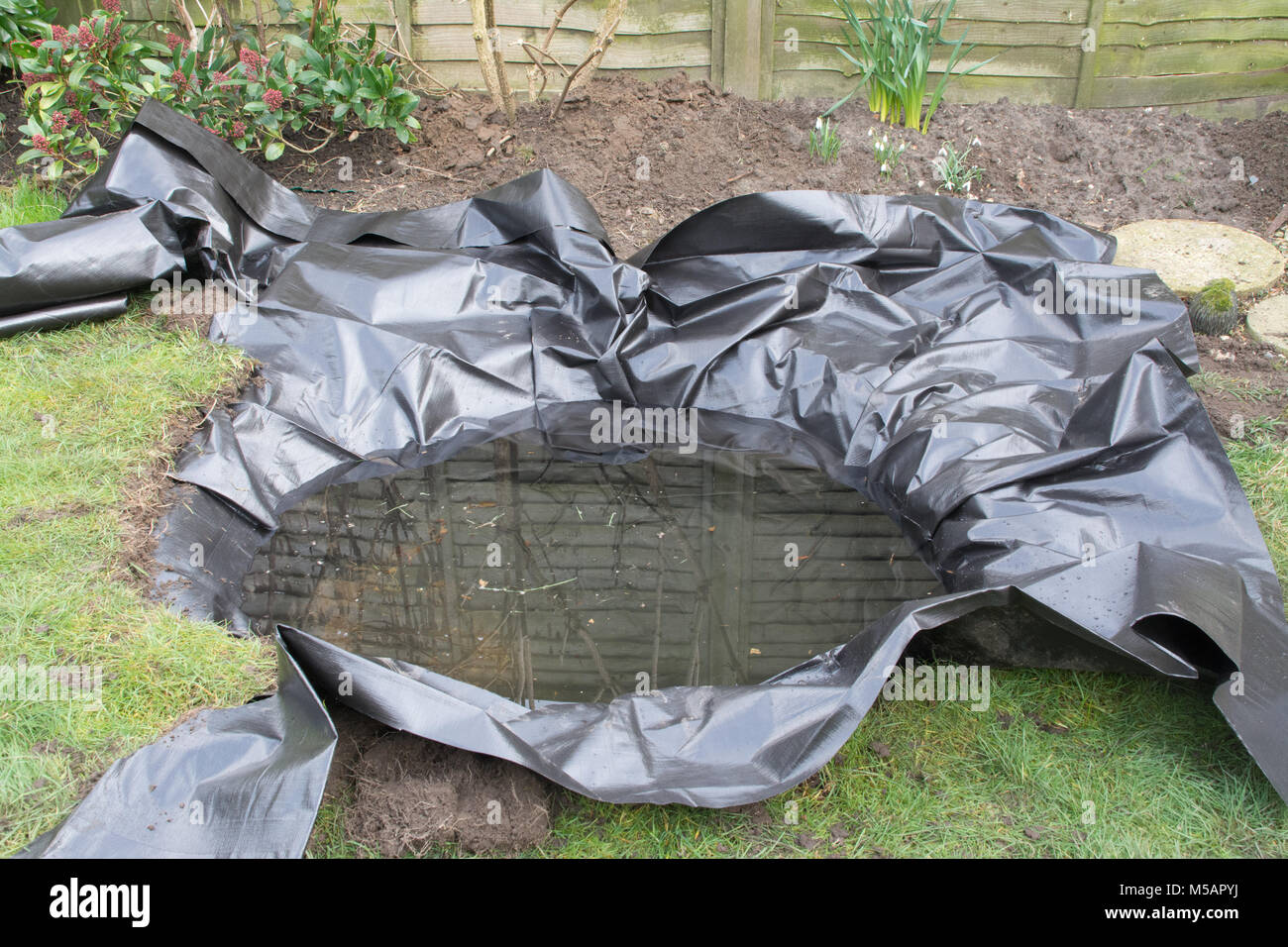 Preparing and lining a garden pond for wildlife. Step 3 of 4 Stock ...
