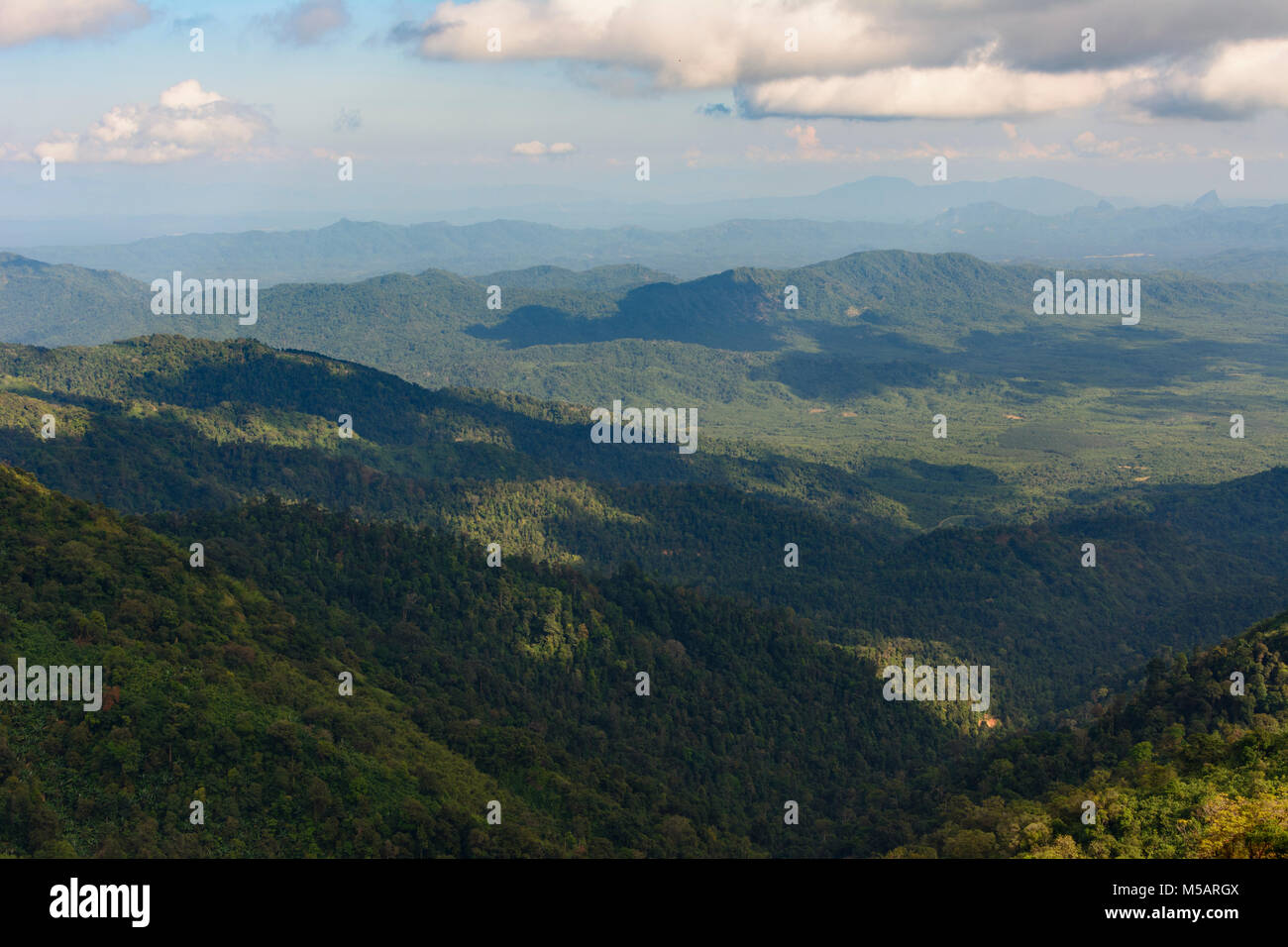 Tropical jungle burma hi-res stock photography and images - Alamy