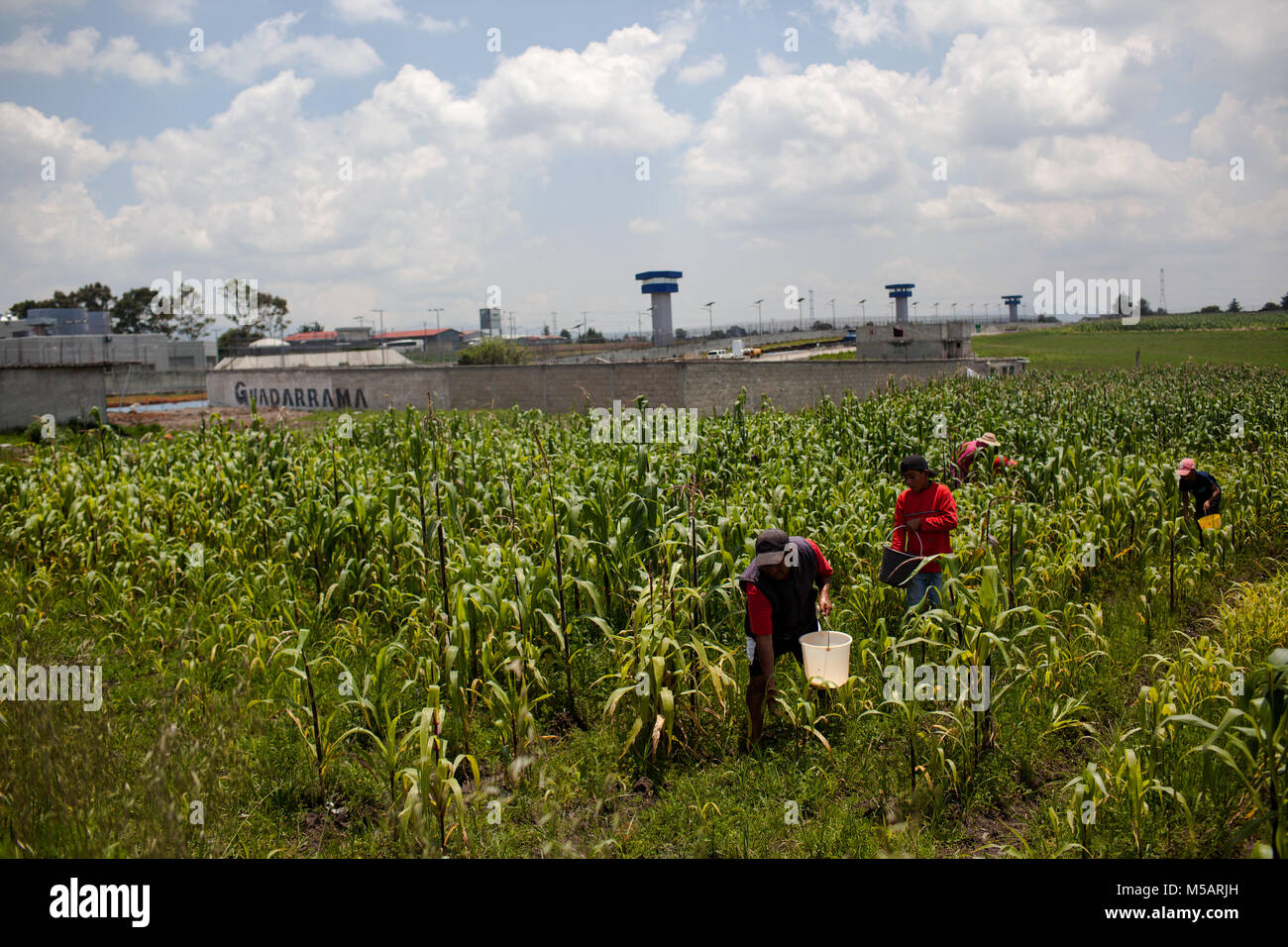 People near the farm house Joaquin "El Chapo" Guzman used to escape Altiplano prison near Toluca ...