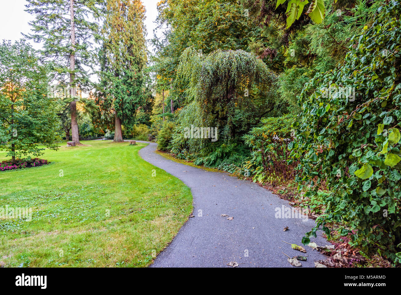 Tortuous path hi-res stock photography and images - Alamy