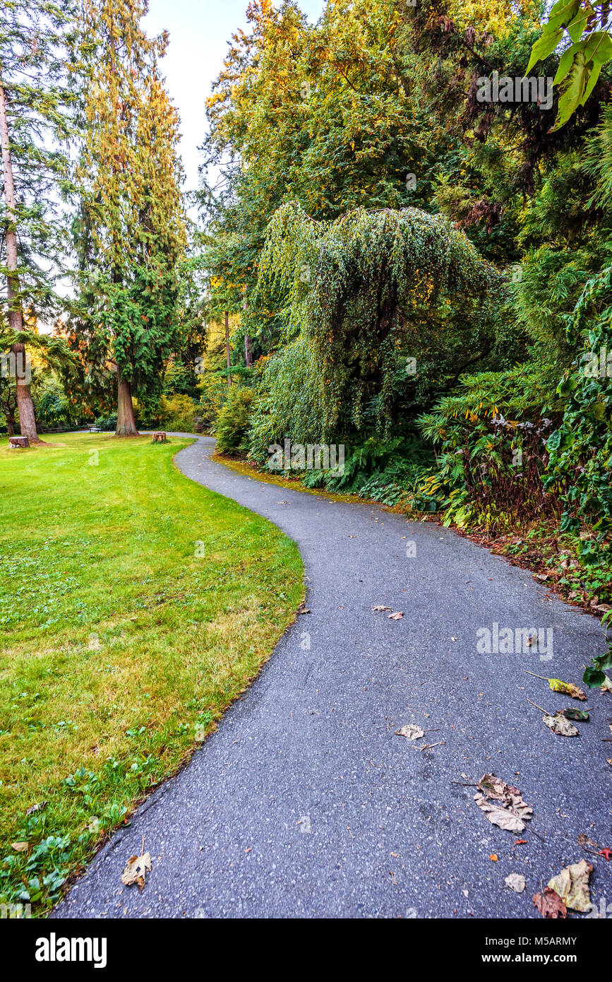 a winding path in a park with trees, bushes, green grass and red flower ...