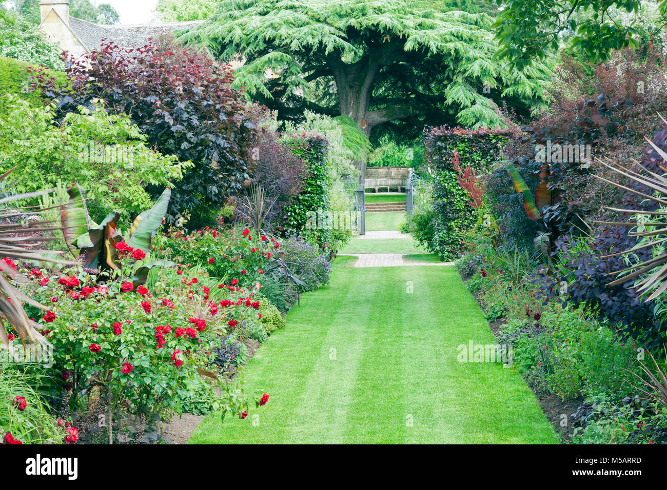 Grass path between flowerbeds with red roses and flowering plants ...