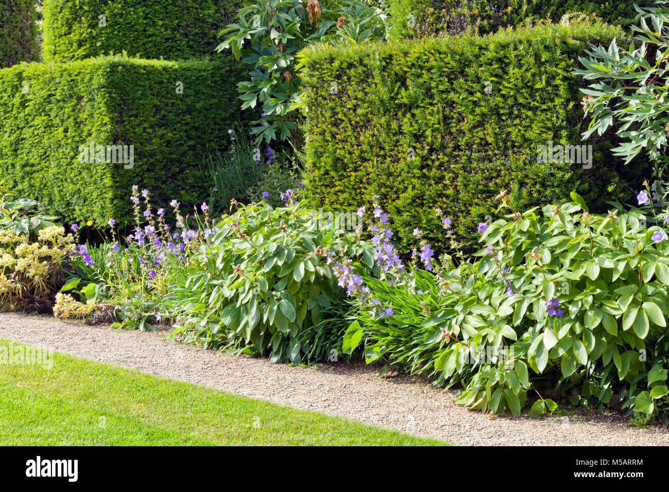 Topiary hedge yew lawn hi-res stock photography and images - Alamy