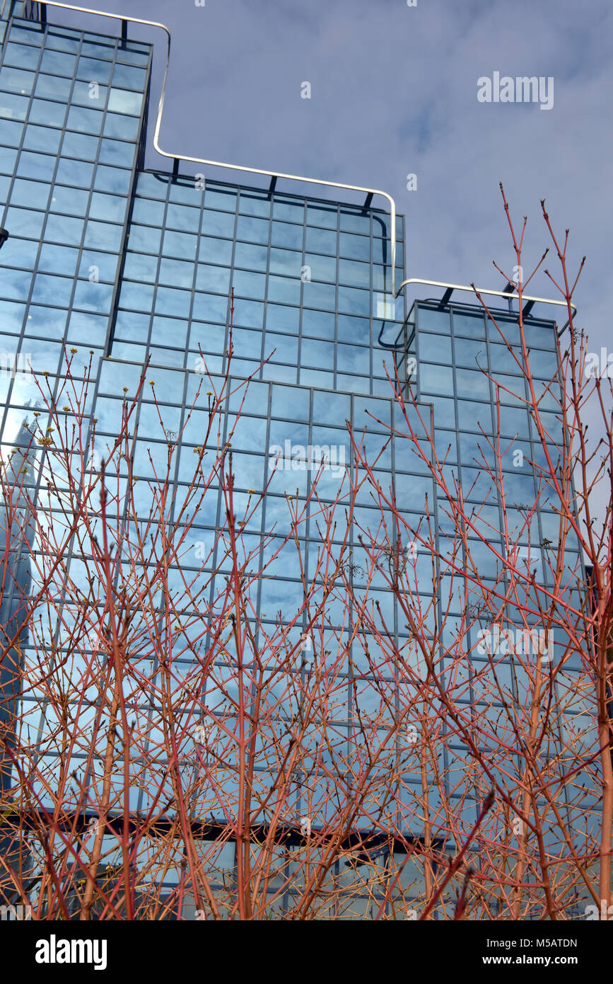 a modern or contemporary multi-storey office building in the centre of ...