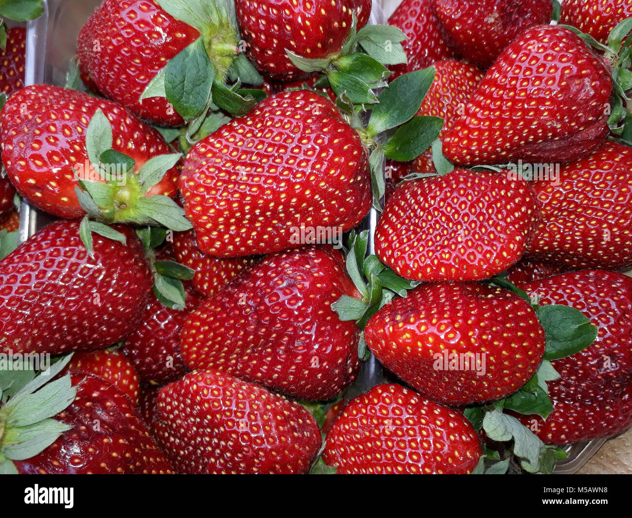 Fresh ripe strawberry on the counter at the market Stock Photo - Alamy
