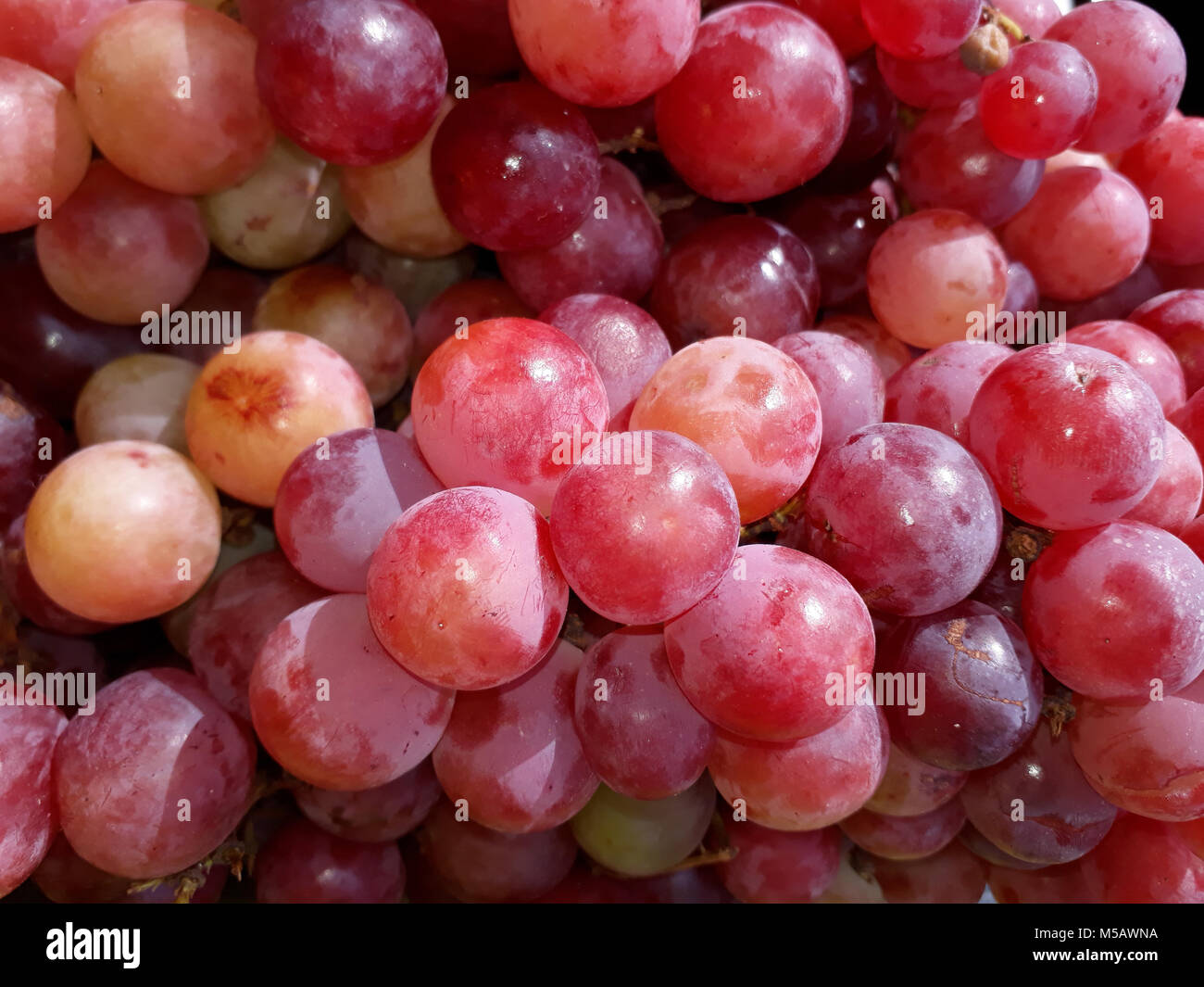 Bunches of fresh pink grape on the counter at the market Stock Photo ...