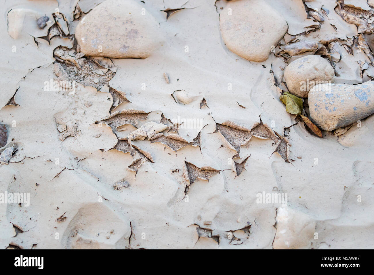 Ecology: Cracked flaking mud flakes in a dried up river bed, Jim ...