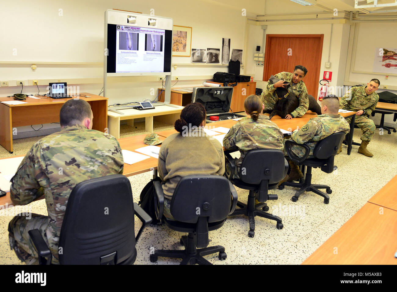 U.S. Army Sgt. Kabryna E. Wordlaw, animal care NCO from Air Force Base ...