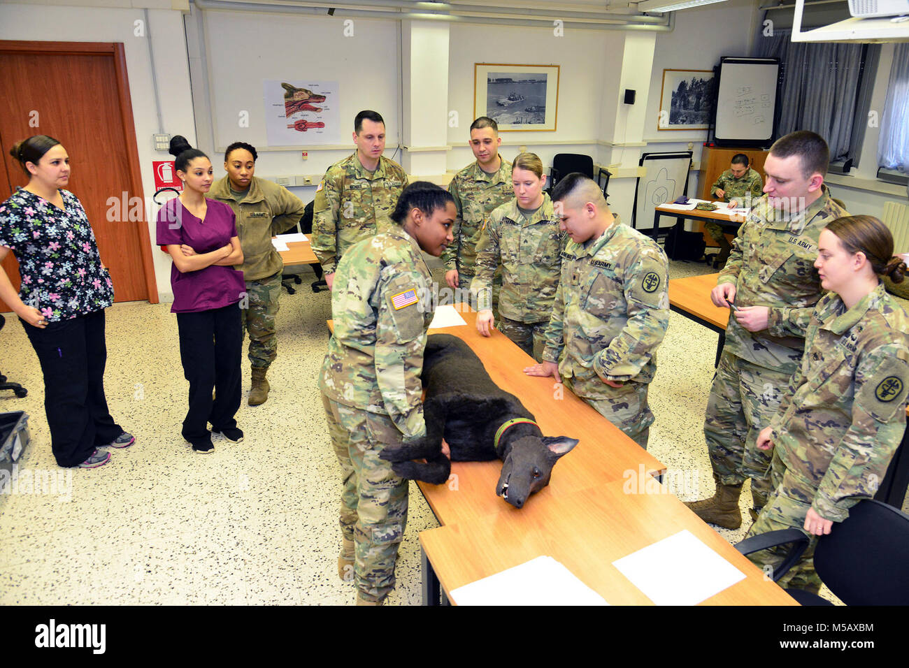 U.S. Army Sgt. Kabryna E. Wordlaw, animal care NCO from Air Force Base ...