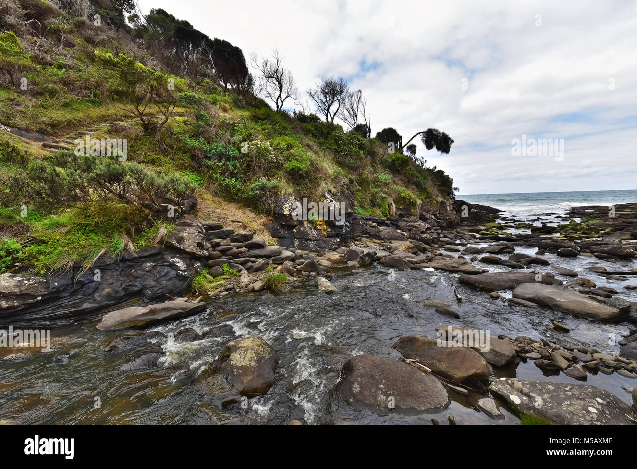Magnificent Lunch Stop on the banks of the Elliot River,The Great Ocean ...