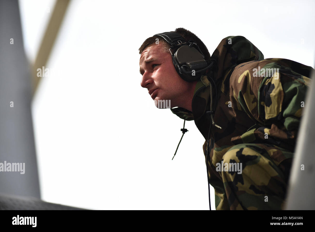 Bushwhacker 18 02 Cactus Flag High Resolution Stock Photography and ...